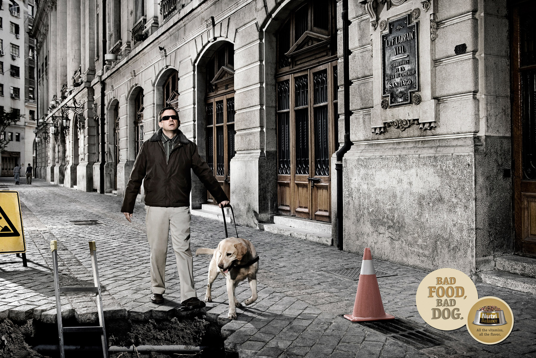 Bad Print Ads 2010 Nutripro | Bad Food Bad Dog | The One Club