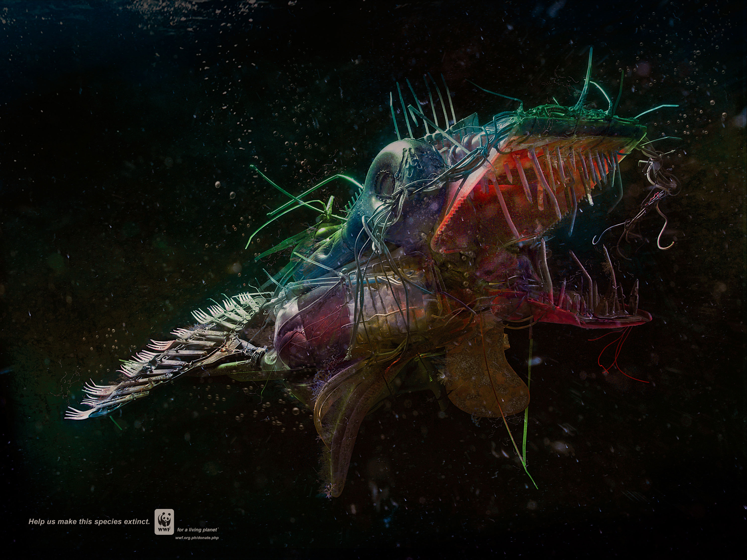 WWF Philippines | Sea Creatures | The One Club