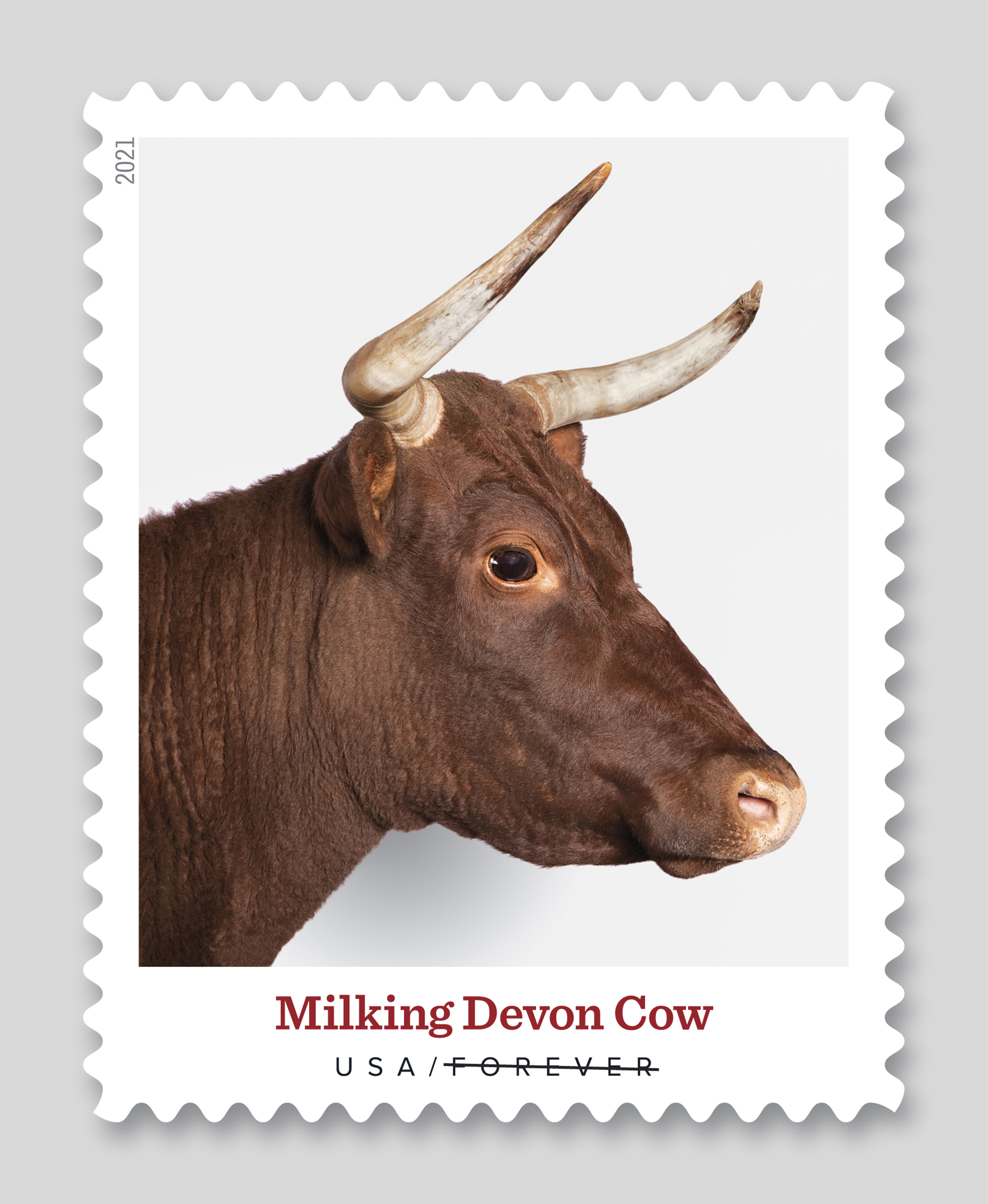 United States Postal Service | Heritage Breeds Stamps | The One Club